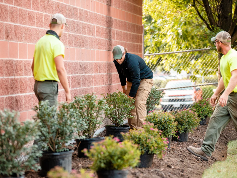 About - Shorelogic Management Services